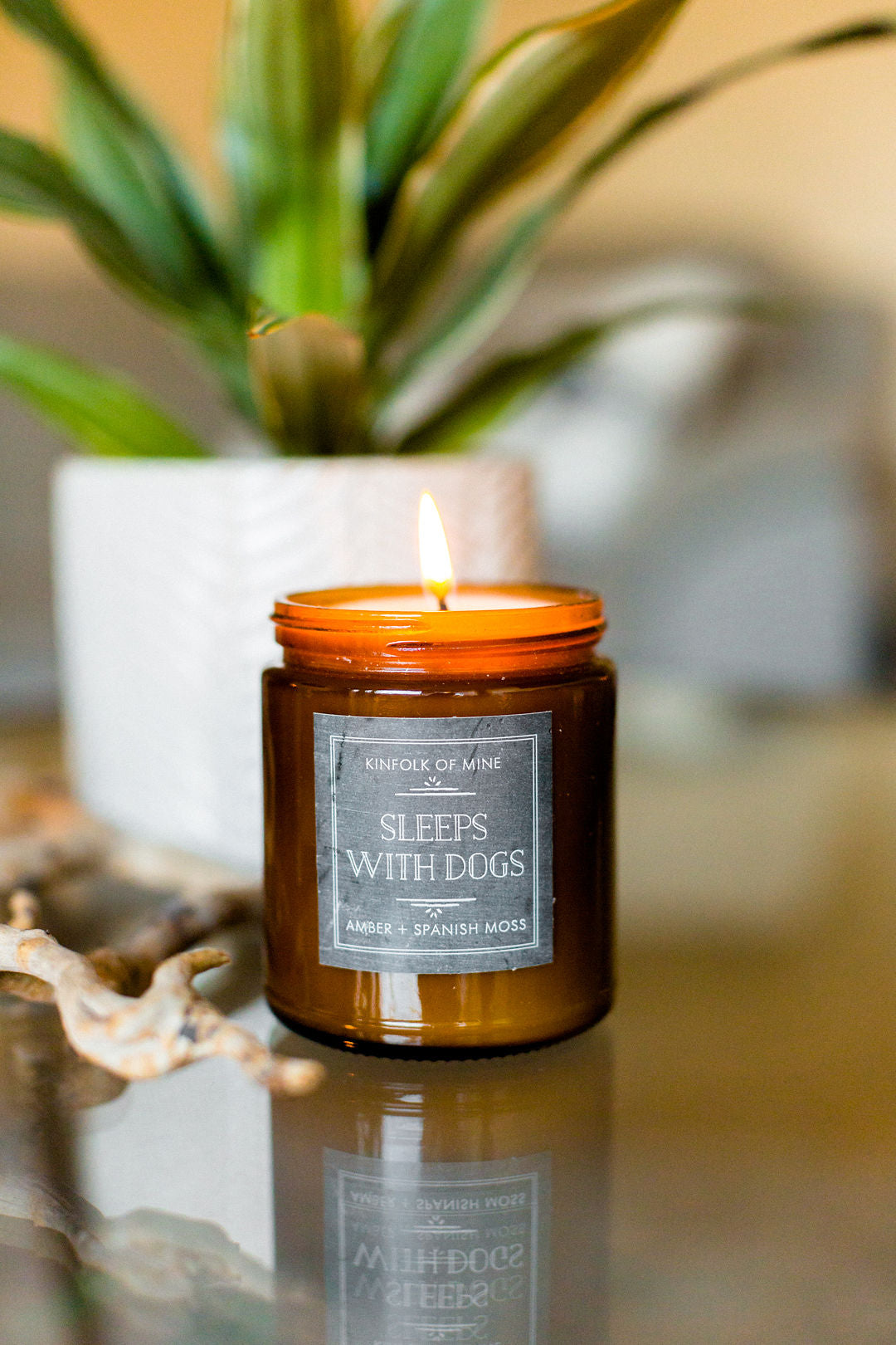Sleeps With Dogs 9oz Candle – Kinfolk of Mine